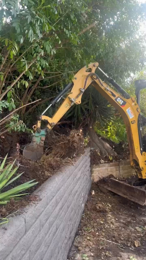 How to Remove a Yucca Plant - attherandalls.com