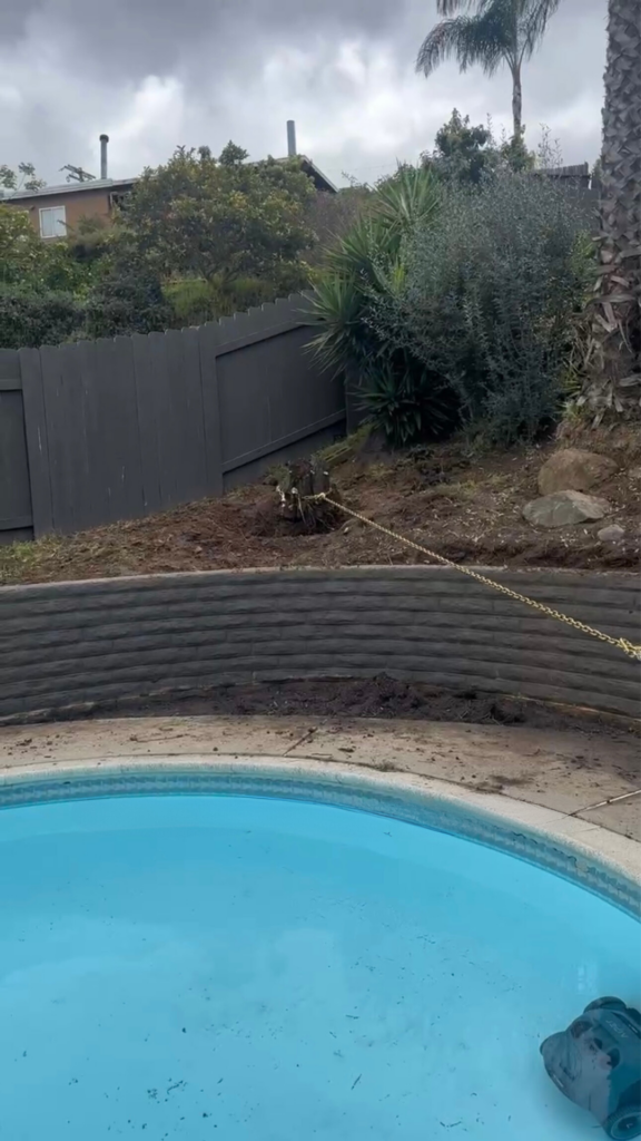 How to Remove a Yucca Plant - attherandalls.com