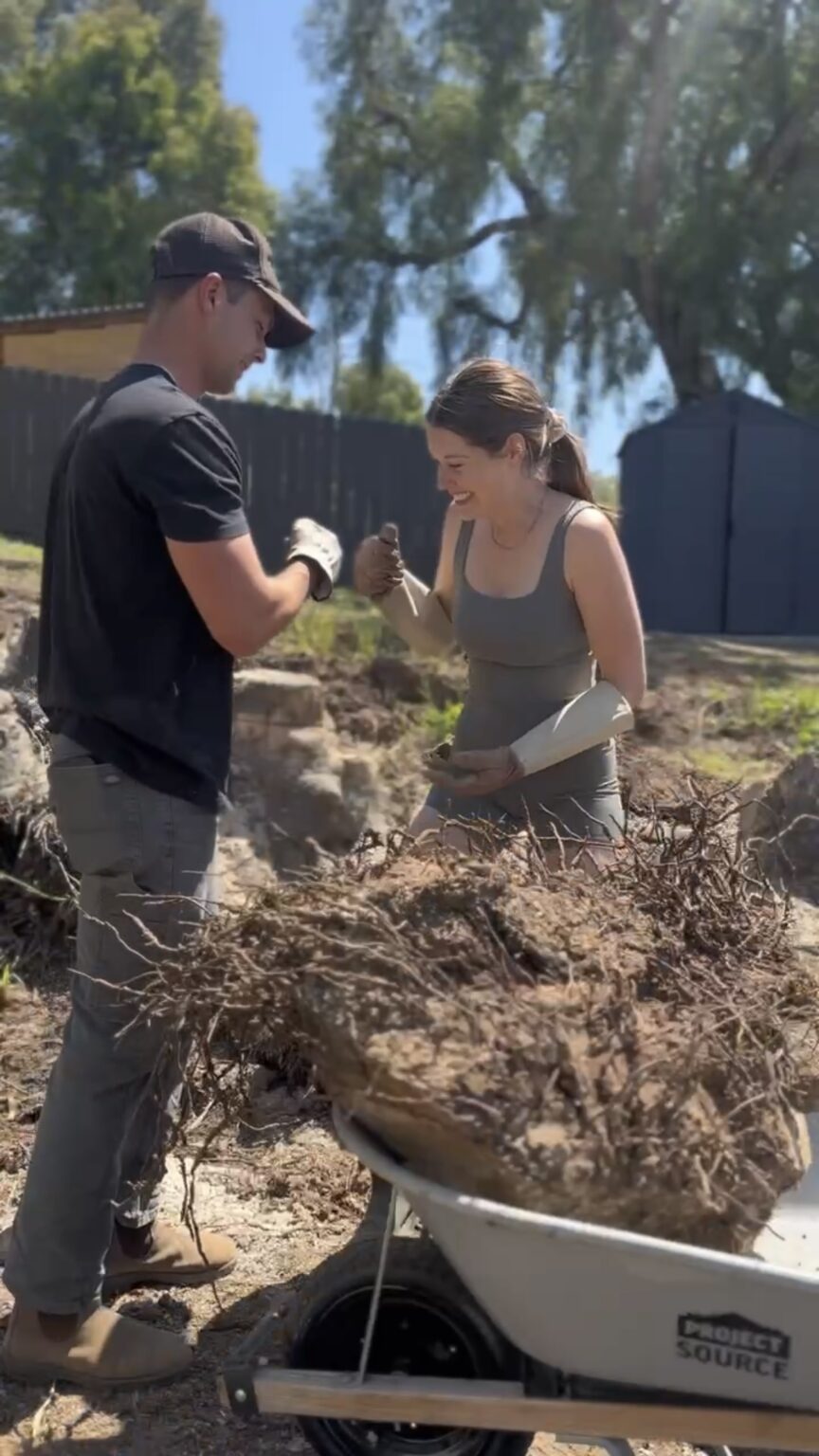 How to Remove a Yucca Plant - attherandalls.com